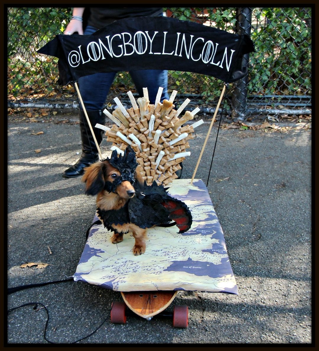 The 27th Annual Tompkins Square Park Halloween Parade | Canine Culture