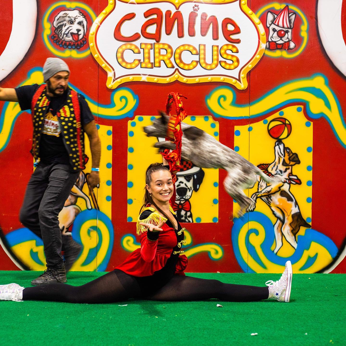 The Canine Circus is Coming to Canadian Pet Expo April 15-17, 2022 ...