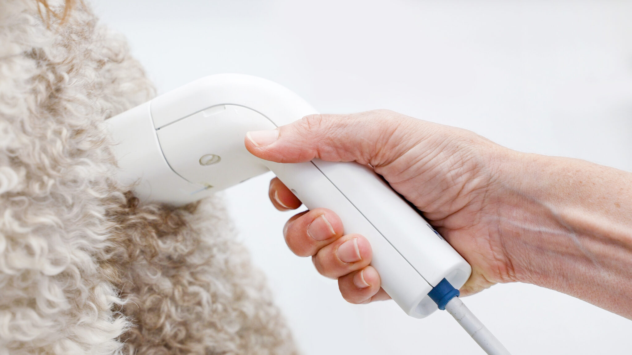 HTVet Introduces Non-invasive Scan Tool for Early Cancer Detections in ...