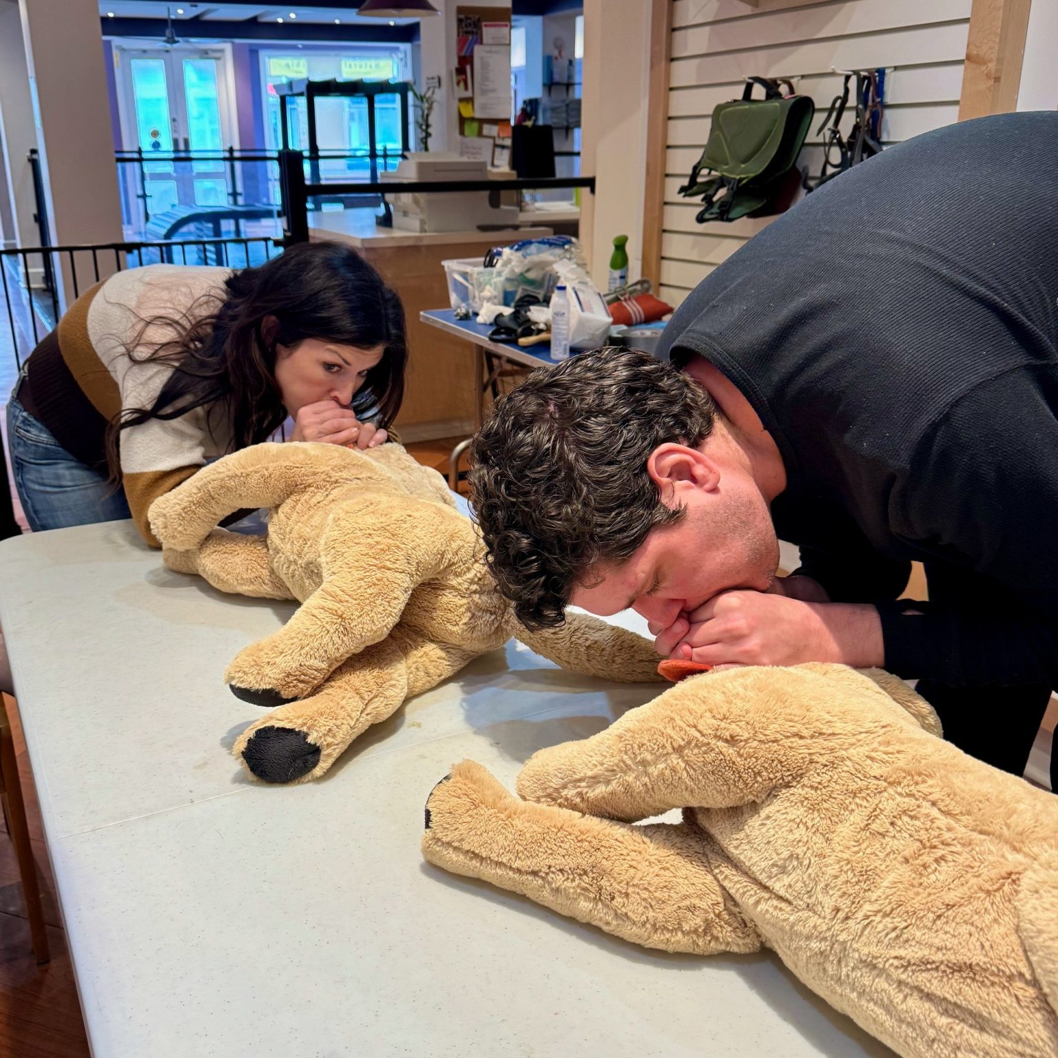 Why Every Dog Pet Parent Needs to Learn Canine CPR: Expert Insight from ...